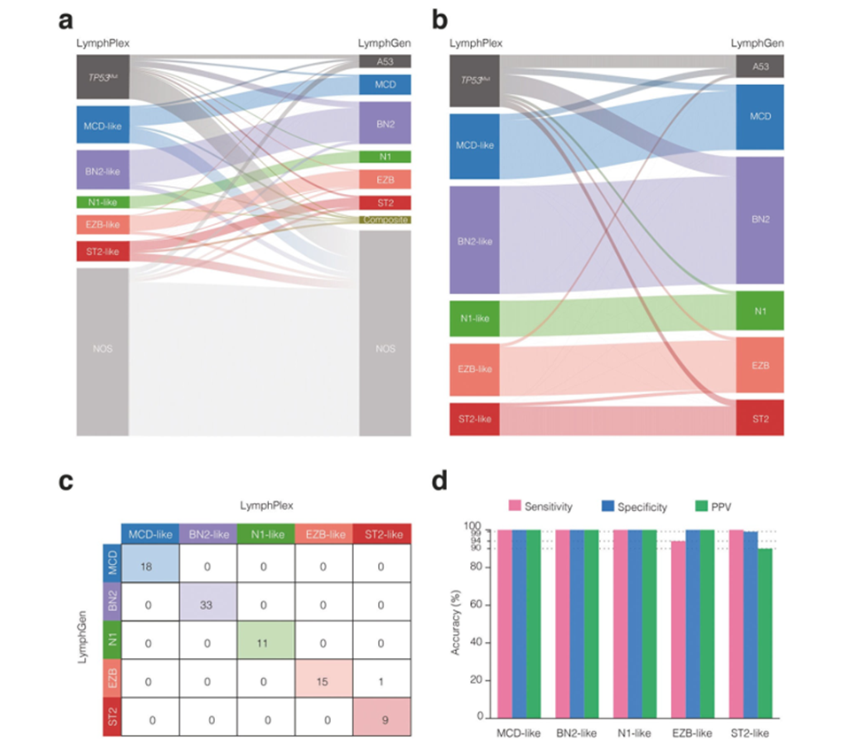 The Complexity of Diffuse Large B-Cell Lymphoma: A Revolutionary ...