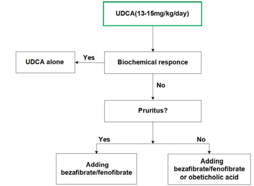 APASL 2023 | Prof. Jia Jidong: Latest Advances in Primary Biliary ...