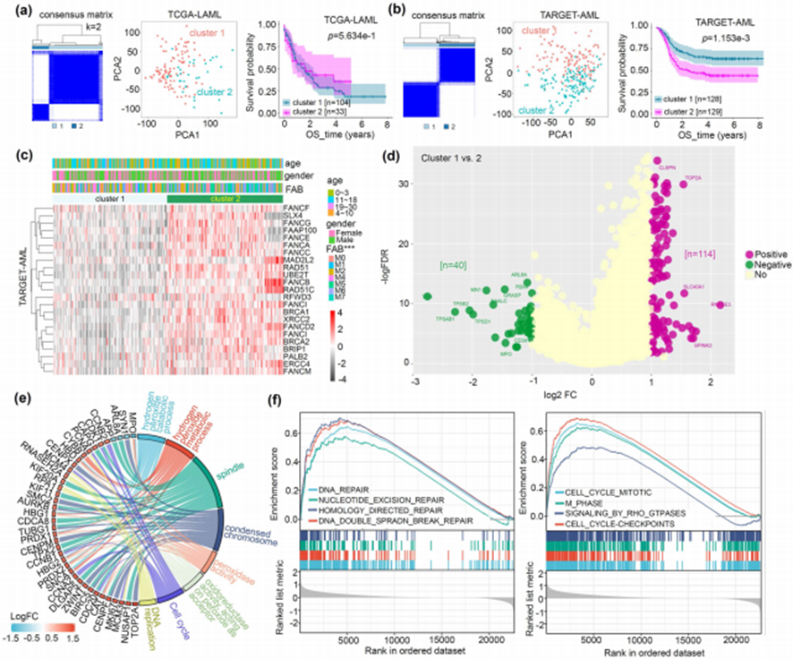 Establishment of a Prognostic Model and Tumor Clustering for Pediatric ...