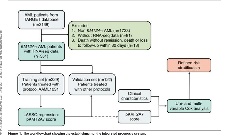 Advancing Prognostic Assessment in Pediatric Acute Myeloid Leukemia ...