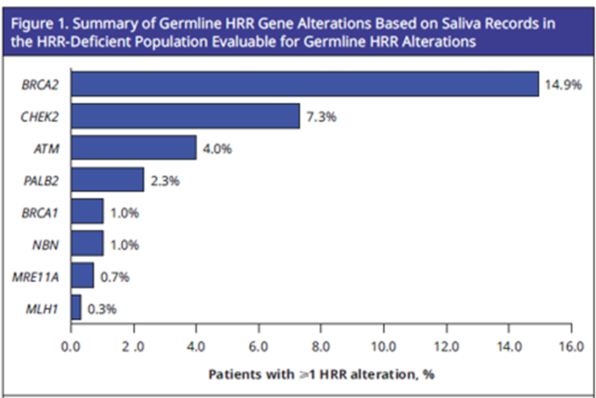 ESMO Hot Topics Update: New Developments in Precision Diagnosis and Treatment with Talazoparib ...