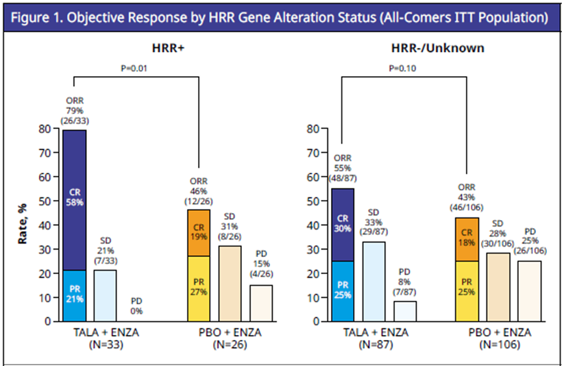 ESMO Hot Topics Update: New Developments in Precision Diagnosis and Treatment with Talazoparib ...