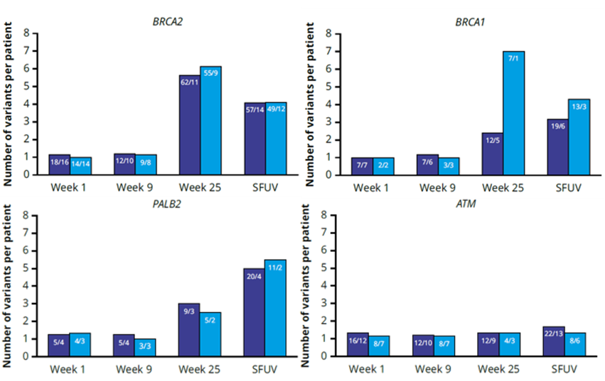 ESMO Hot Topics Update: New Developments in Precision Diagnosis and Treatment with Talazoparib ...