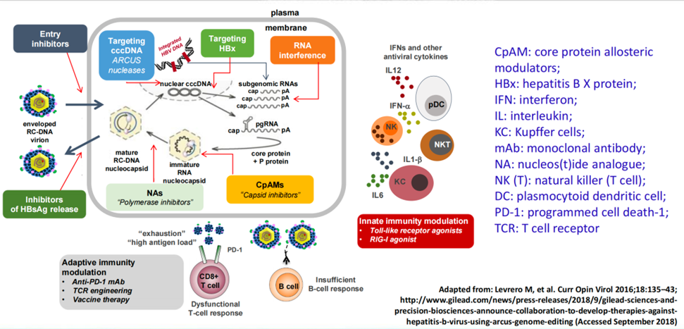 Annual Review | Dr. Guiqiang Wang: Pursuing Clinical Cure for Hepatitis ...
