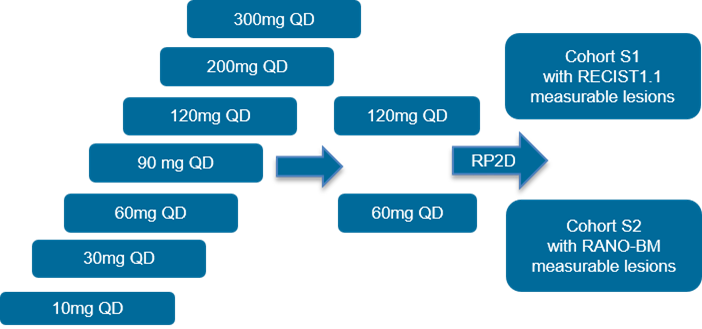 SABCS Voice of China丨Professor Jian Zhang: Orally Administered SERD ...
